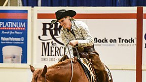 Cutting Horse Central