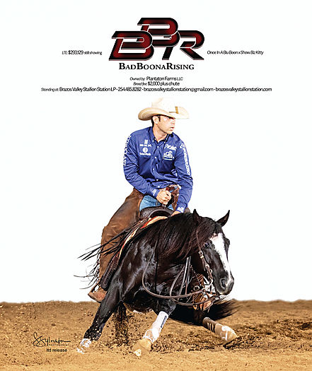 BadBoonaRising : Cutting Horse Central